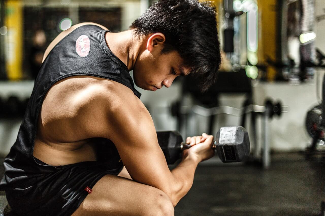 The Ectomorph Workout Plan Ectomorphing