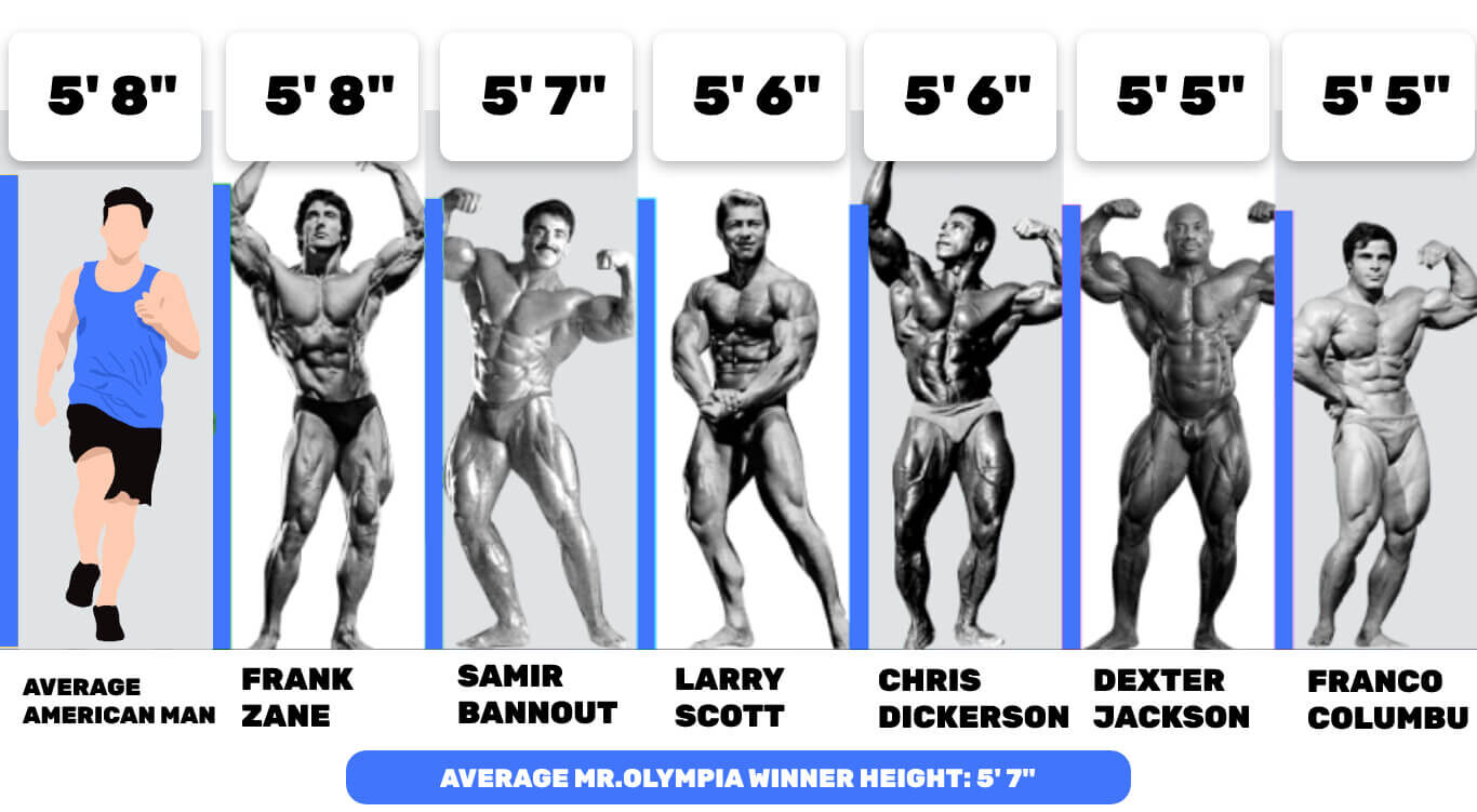 Do Sit-Ups Increase Height? - Ectomorphing